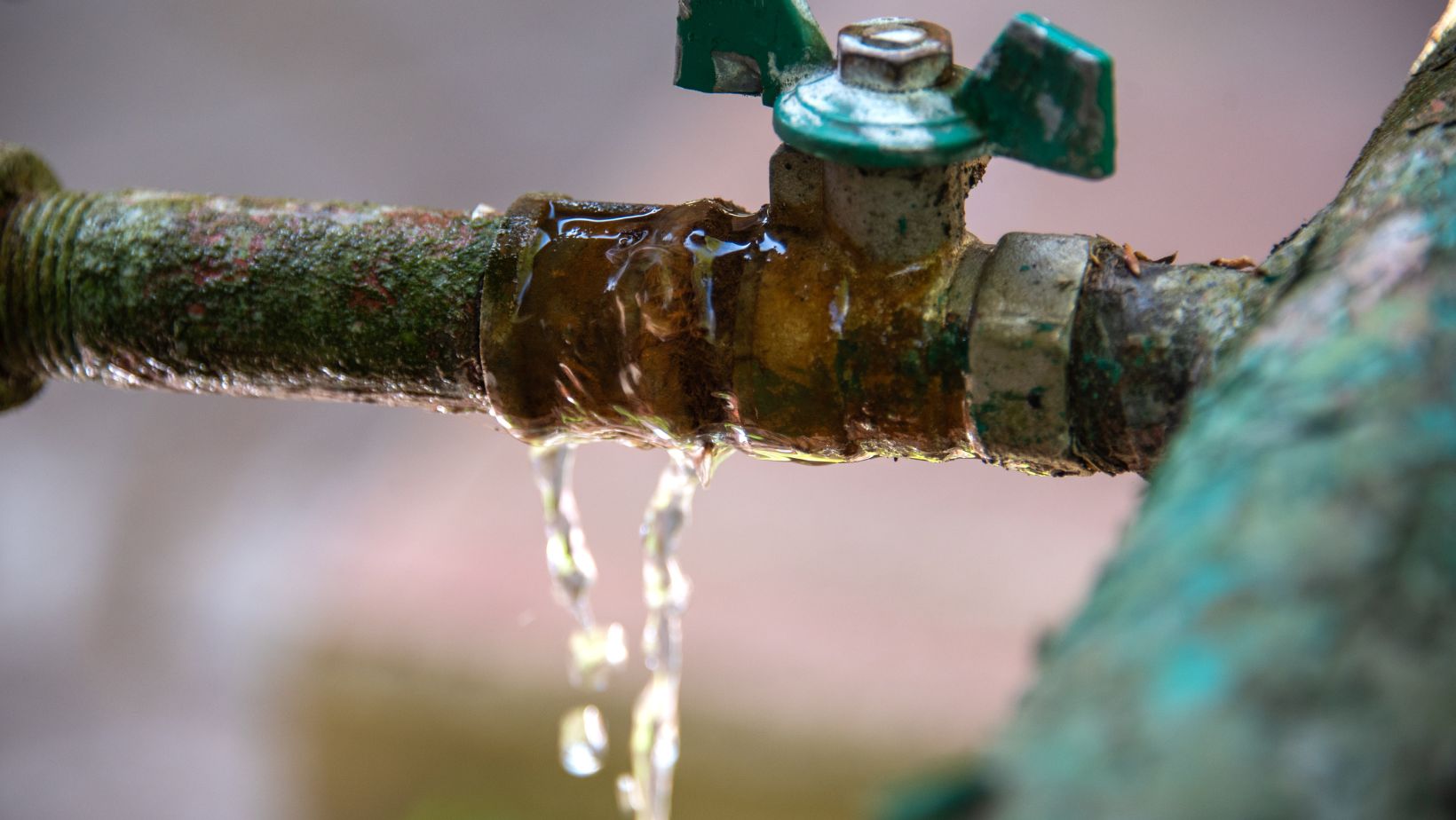 What to Do After Water Damage in Toronto - Rapidhomedirect