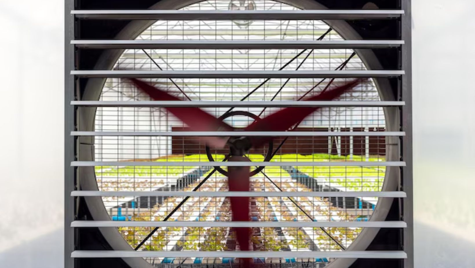 Ventilation Solutions That Adapt to Harsh Farming Environments - Rapid ...